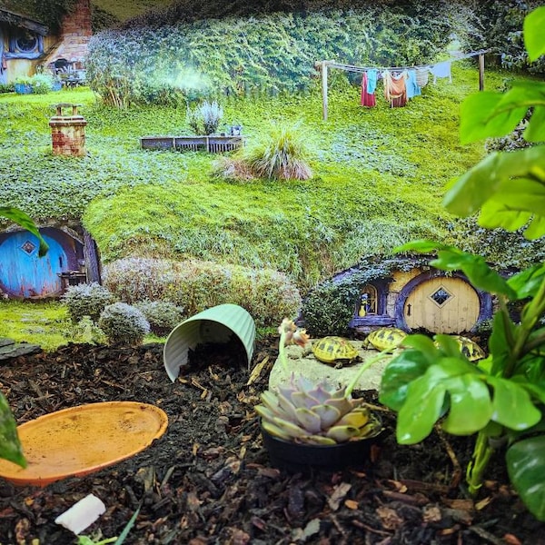 Aquarium / Terrarium Background / Hobbit Holes on the Hillside - Etsy