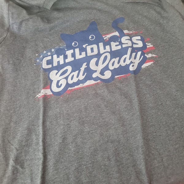 Democracy is Dying Fourth of July Protest Shirt, Political Retro T ...