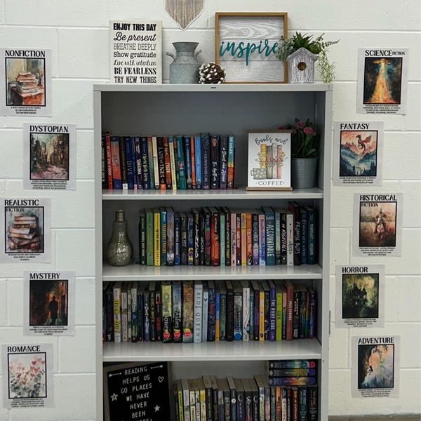 Classic Literature Posters: High School English Classroom Decor Vintage ...