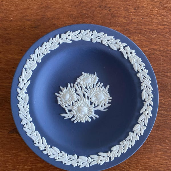 Wedgwood PINK on Pale Blue Jasperware / Jasper *STURT Desert ROSE* Egg ...