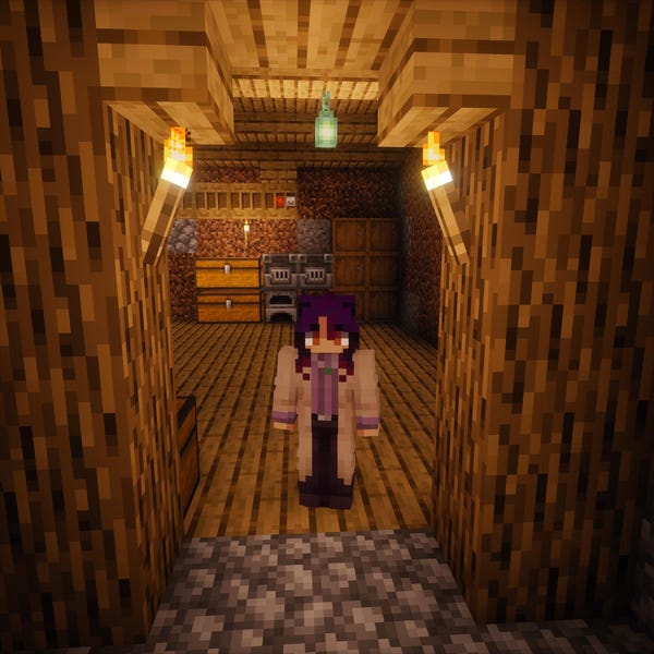 Custom Minecraft Skins With Enhanced Detailing! 64x Pixels - Etsy