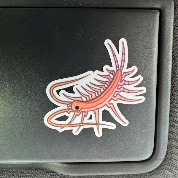 Domestic Silk Moth Stickers! (venezuelan Poodle Moth) - Etsy