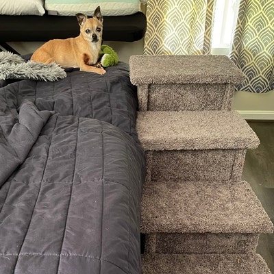 Cat Stairs for Bed Wooden Pet Furniture 18h X - Etsy