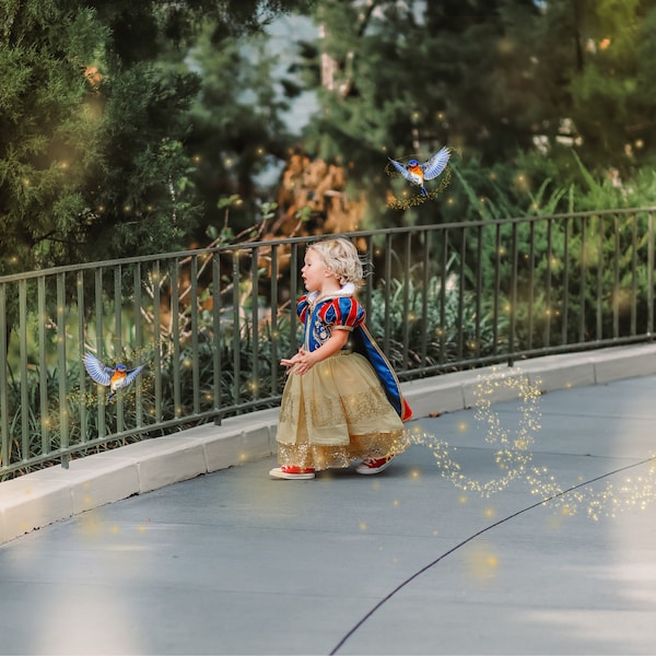 25 Magic Shine Fairy Effects, Photoshop Overlays, Sparkle Stardust ...