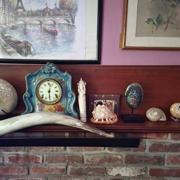 Beach Decor Seashell Stand - Large and Small Display Stands - Shell ...