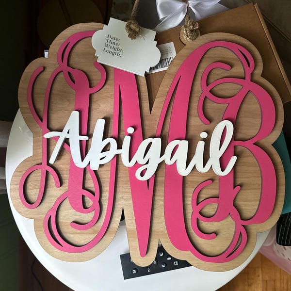 Baby Girl Hospital Birth Stat Sign | Hospital Door Hanger | Newborn ...