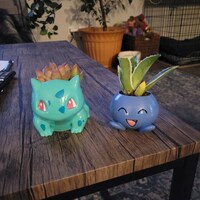 Bulbasaur pintado y maceteros extraños con suculentas/cactus vivos Dos maceteros en cada orden ...