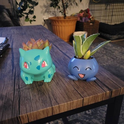Bulbasaur pintado y maceteros extraños con suculentas/cactus vivos Dos ...