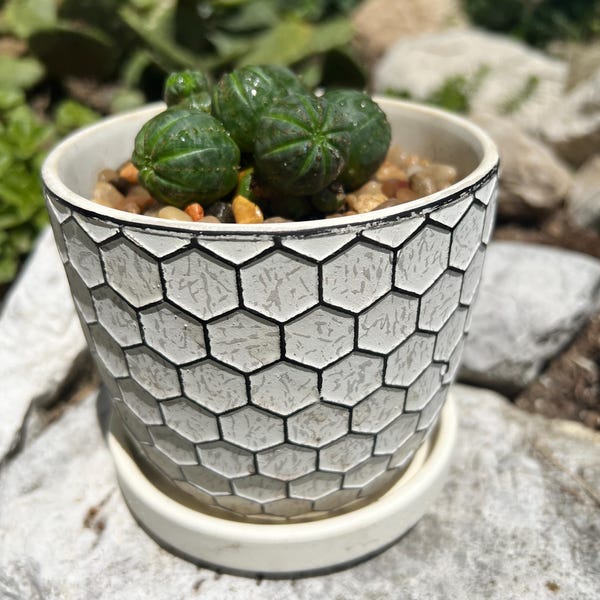 5 3/4inches Starry Sky Train Planter Pot Succulent Pot - Etsy