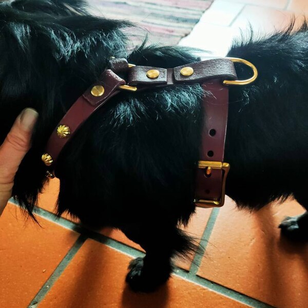 Noseband With Chain Lazypony, Handcrafted Cavesson With Chain, Metal ...