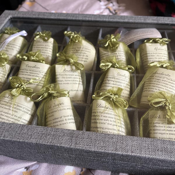 BIG 4.75" Orthocerous Fossil - EXACT PIECE - Nautiulus - Polished ...