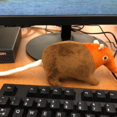 Elephant Shrew Stuffed Toy Native African Animal Shrew Plush Sengi ...