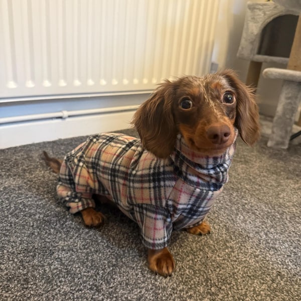 Tartan Fleece Dachshund Onesie: Water Repellent Dog Jumpsuit - Etsy