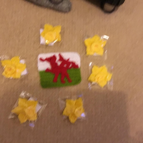 Crochet Pattern - Wales Flag - Instant Pdf Download - Etsy