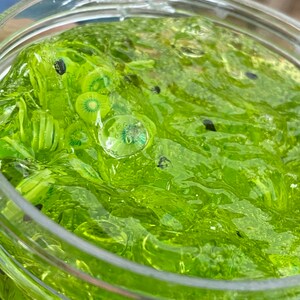 Sour Grape Frozen Boba Slime Icee Slime Jelly Slime Charm Slime - Etsy