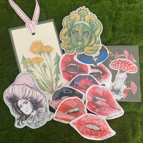 Monarch Butterfly Life Cycle Vinyl Sticker Packs - Etsy