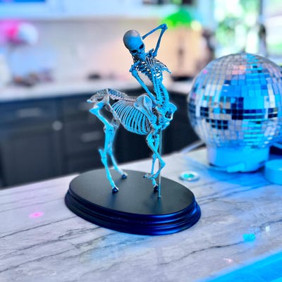 Sphinx Skeleton, Curiosity Cabinet - Etsy