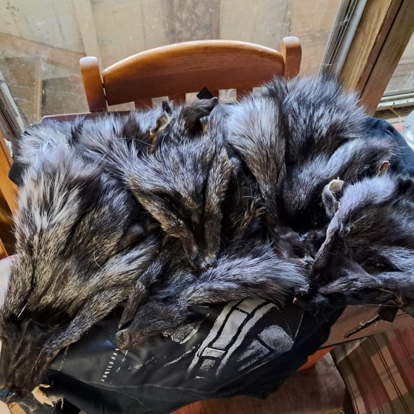 Silver Fox Fur Heads - Set of 10 - Etsy