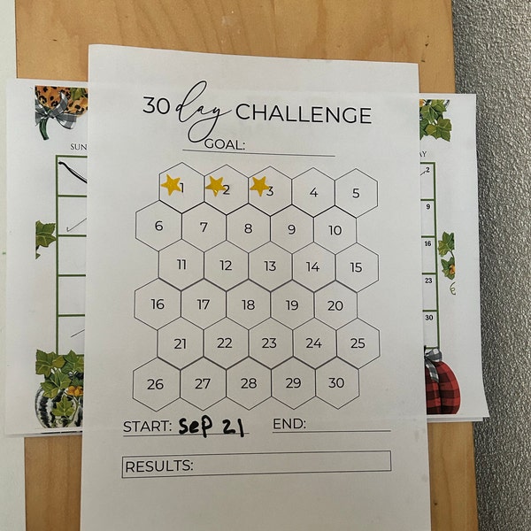 30 Day Challenge Printable, 30 Day Goal Tracker, Monthly Goal Planner ...