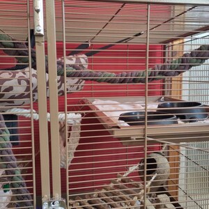 Small Pet Ladder for Cage Suitable for Rat, Hamster, Birds, Parrots ...