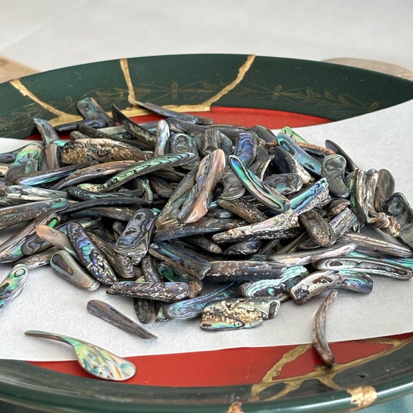 Tibia Spindle Sea Shells White Tibia Shell Long Pointy Shells Shabby ...