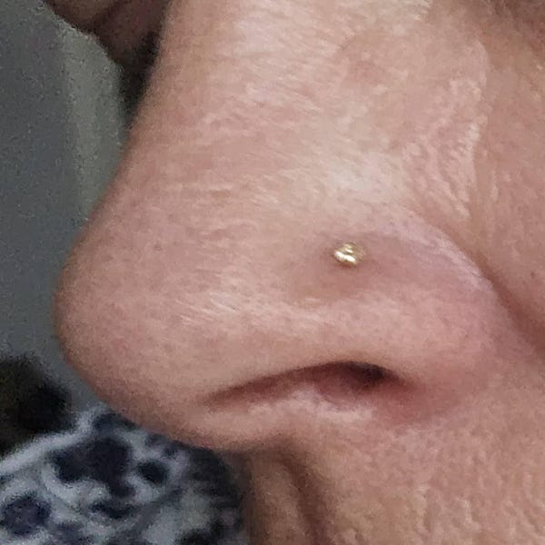 Flat Septum Clicker Ring – Available in 14G (1.6mm) & 16G (1.2mm) Sizes ...