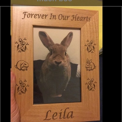 Bunnies, Memory Bunny, Bunny Remembrance, Bunny Memorials, Rabbit ...