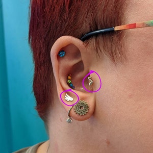 Wing in Surgical Steel on a Customized Jewelry Post. Perfect for Helix ...