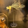 Real Lionfish Skeleton, Dendrochirus, Fish Taxidermy, on Queen Chess ...