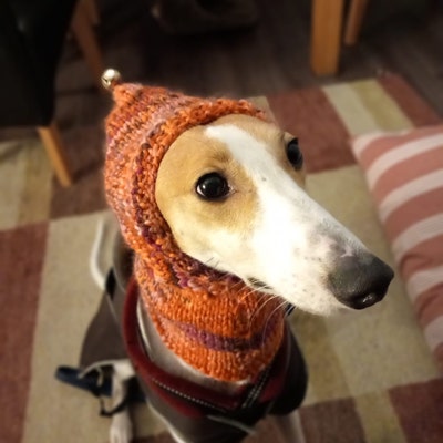 Knitted Whippet Coat Knitting Pattern Download - Etsy