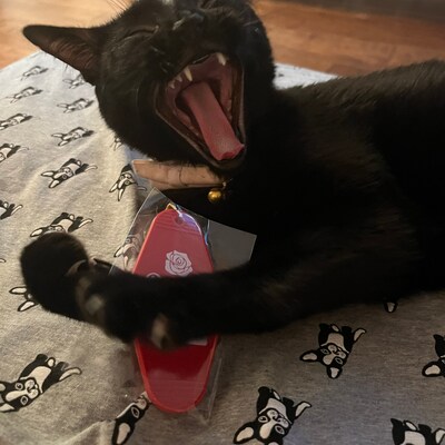 Dragonfly Inn Retro Motel Keychain Gift for Her Vintage Hotel - Etsy