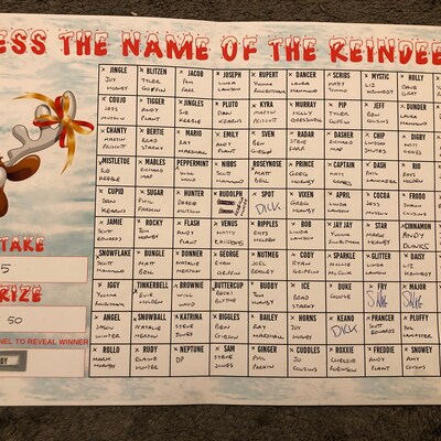 TEDDY Guess the Name of Scratchcard Fundraising Game Fete Fair Fayre ...