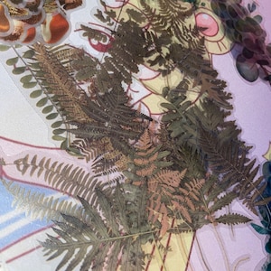 Peanuts Swap Cards / 2 Vintage Snoopy ACE Swap Cards Great for | Etsy