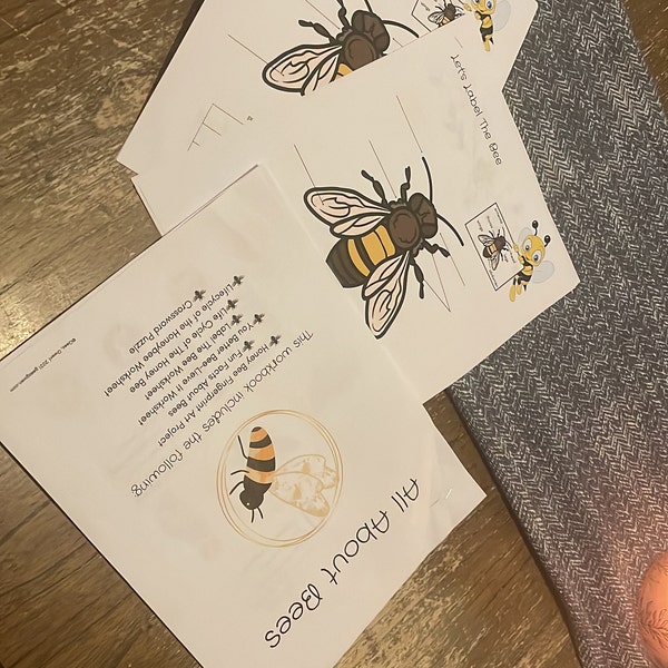 Family Time Capsule Project Workbook - Etsy