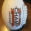 Personalized Custom Mini Volleyballs for Coaches' Gifts, Senior Gifts ...