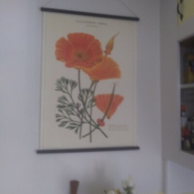Vintage-style California Poppy Poster Ready-to-hang - Etsy