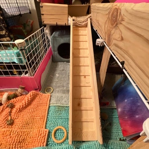 Rat Cage Tag Rat Cage Accessories Rat Name Tag Rat Cage | Etsy