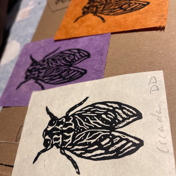 Mini Cicada Linocut Print - Etsy