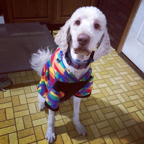 Dog Quarter Zip Hoodie PDF Sewing Pattern Sizes XS / S / M / L / XL ...
