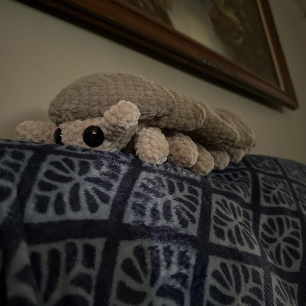 Acorn Weevil Crochet Pattern, PDF File in English, Amigurumi Weevil - Etsy