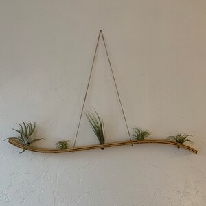 Wall Mount Diamond Planter With Saucer Geometric Wall | Etsy