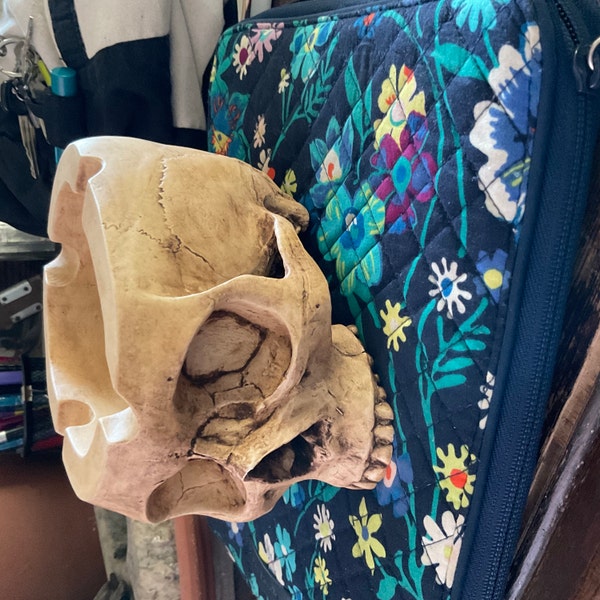 Small Human Skull Replica - Etsy
