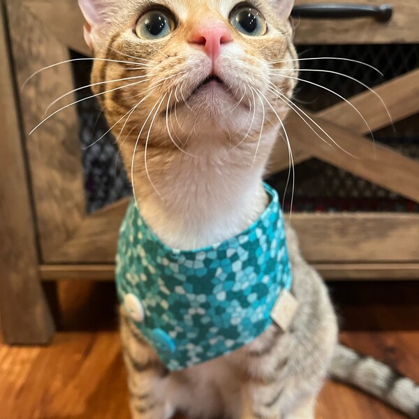 Set 1 Wood Cutting Templates for Over the Collar Pet Bandana Wood ...