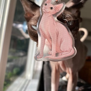 Curse of Toe Beans Sphynx Weatherproof Sticker - Etsy