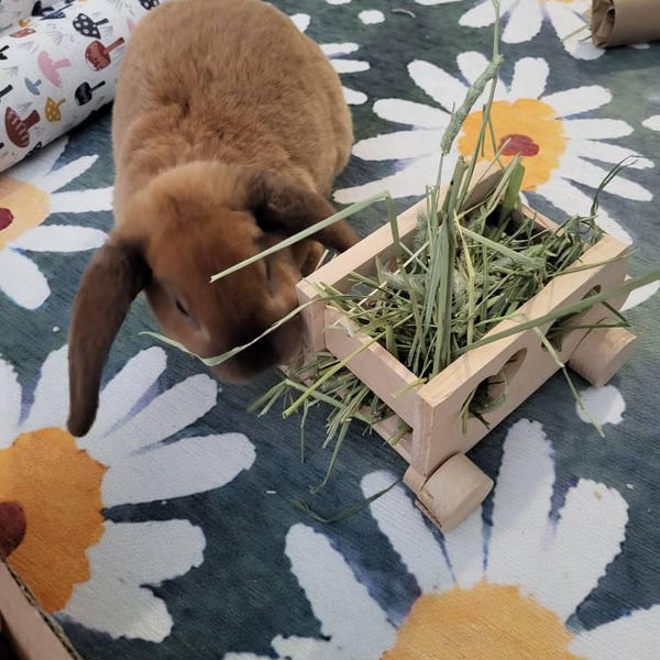 Coffee+bunnnies Tote Bag, Rabbit Lover Tote Bag, Bunny Mom Bag, Gift ...