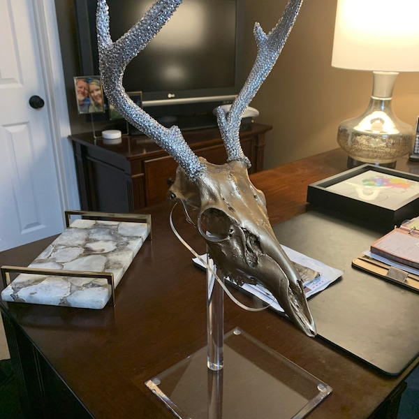 European Euro Mount Whitetail Deer Antler Display Clear Acrylic Stand ...