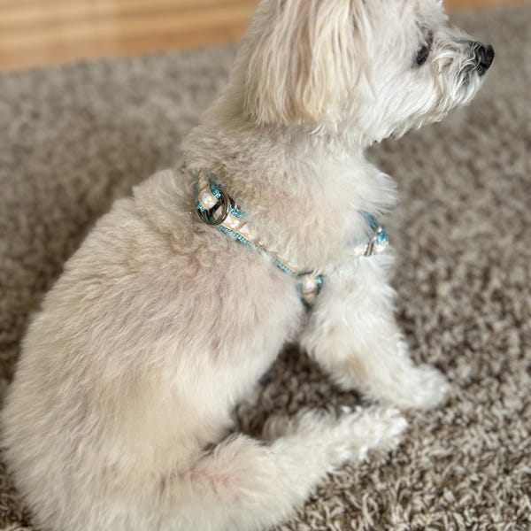 UGLY Bells for Pet Collar Chipped Jingle Bell for Cat Collar Character ...