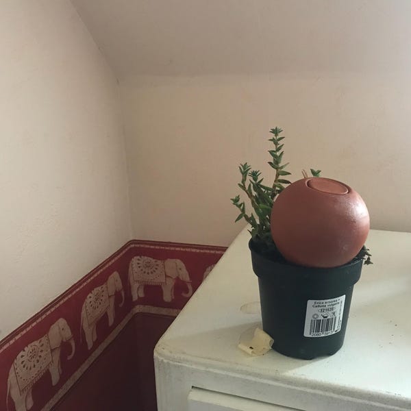 Set Of 6 Extra Mini Ollas For Floral Arrangements Etsy