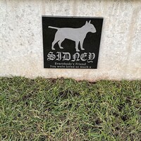 Custom Duck Goose Memorial Stone Pet Tombstone for Duck - Etsy