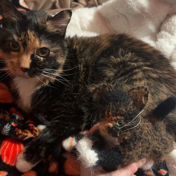 Custom Crochet Cat, Amigurumi Custom Pets, Crochet Pet Memorial, Look Alike Cat, Personalized ...